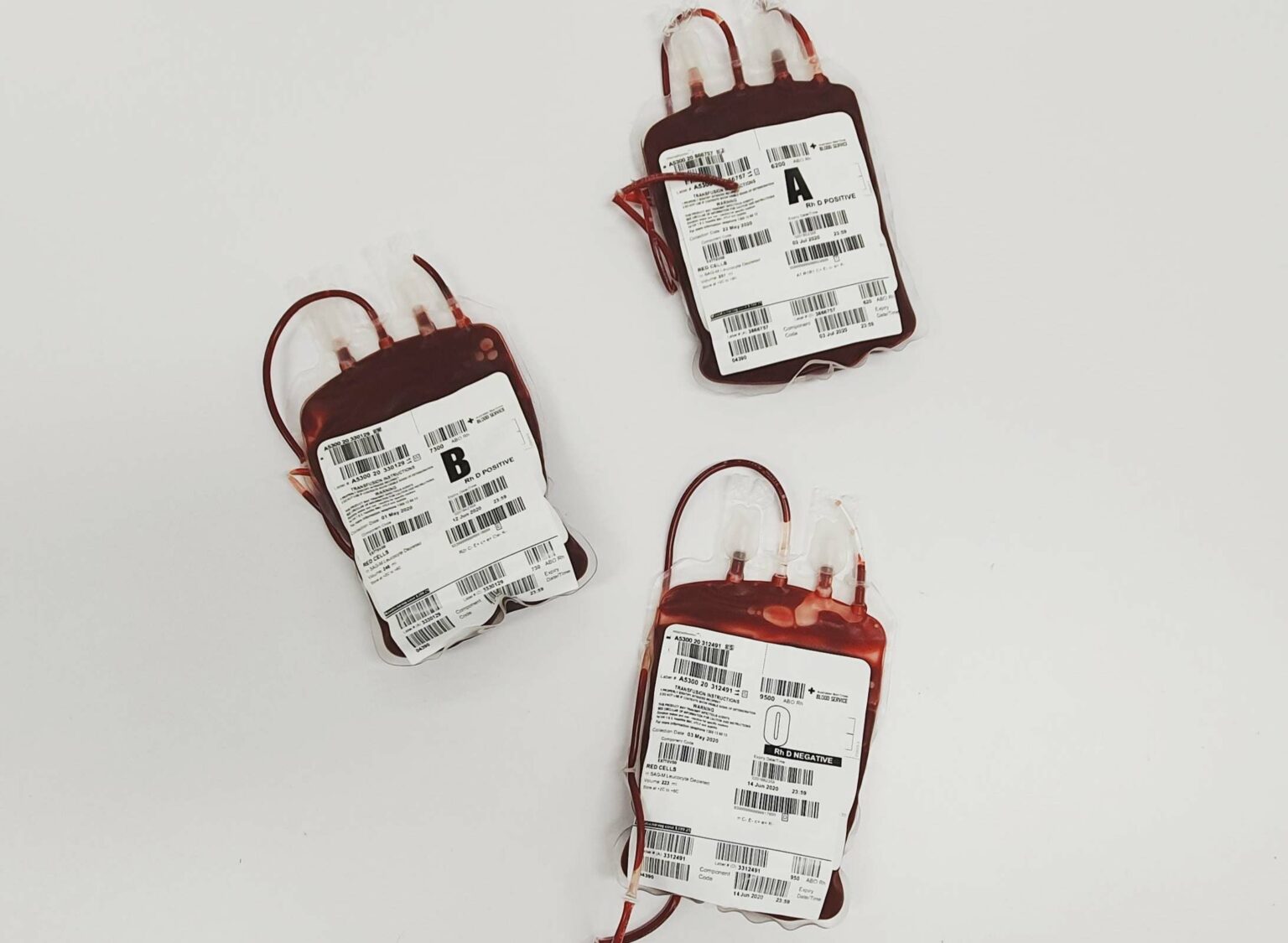 Blood Type Personality: Exploring the Link Between Your Genetics and ...